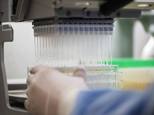 Le segment suisse des biotechs a pris de l'embonpoint en 2021