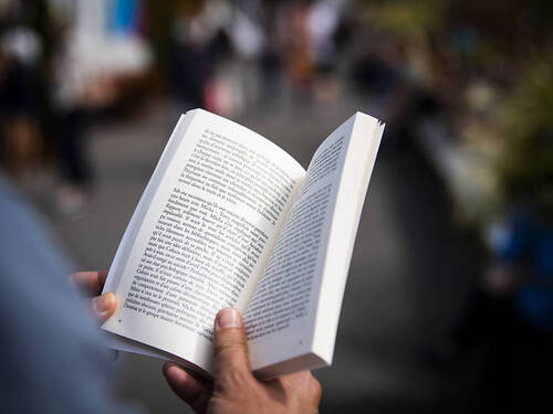 Les bibliothèques de Carouge (GE) « mettent les voiles