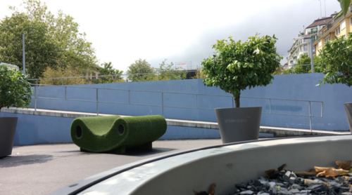 Les toits végétalisés primés