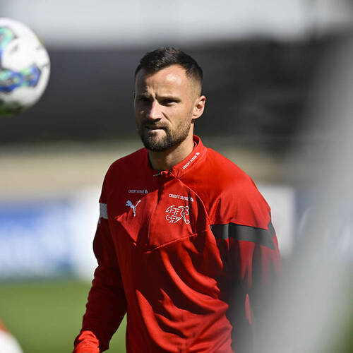 Haris Seferovic sur le banc