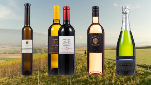 Quels sont les meilleurs vins de Genève en 2022?